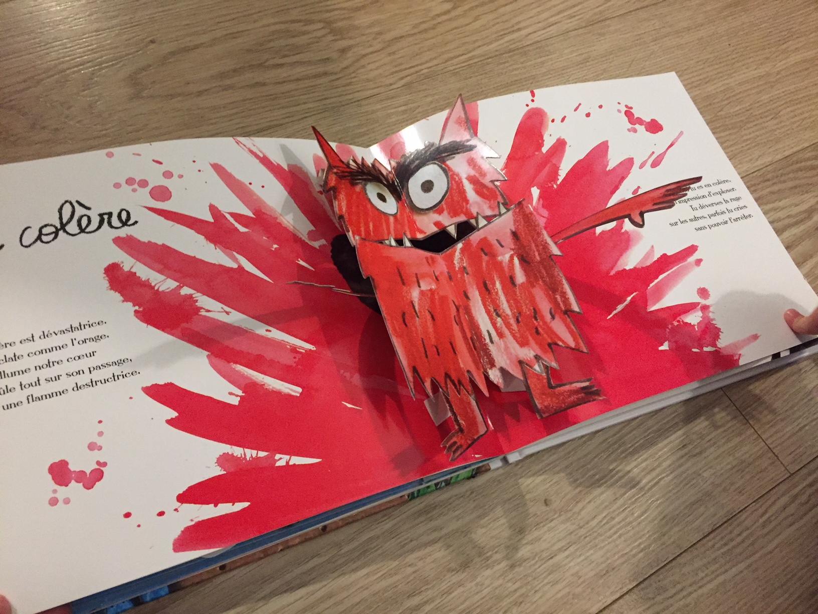 Découvrez le magnifique livre "La Couleur des Émotions"