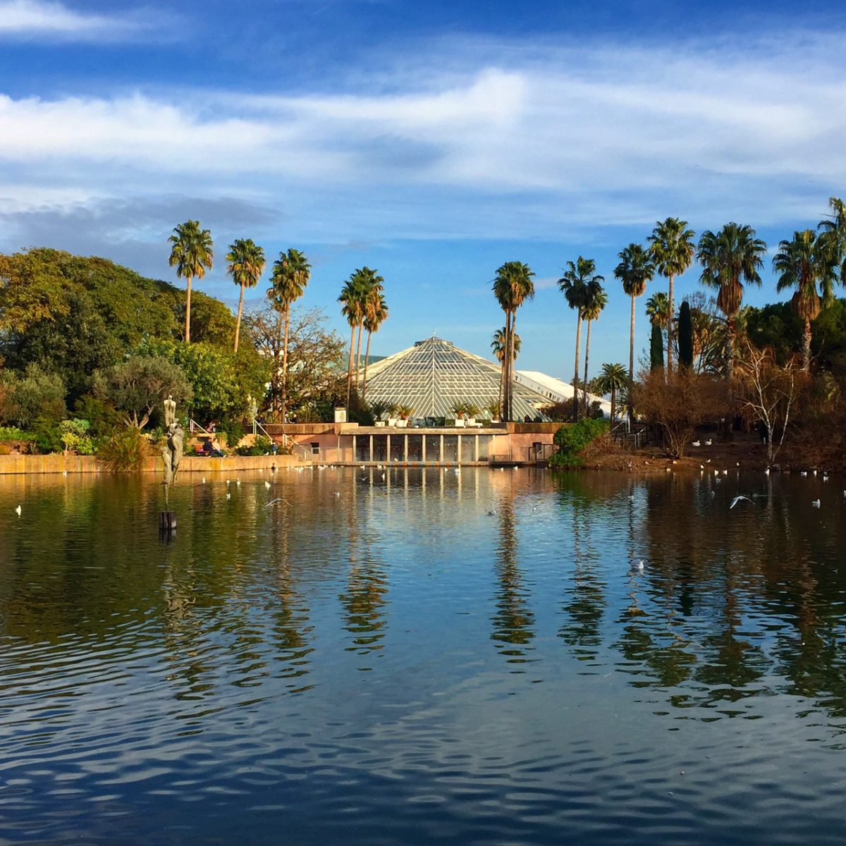 Idée sortie en famille : le Parc Phoenix de Nice - Maman Écureuil