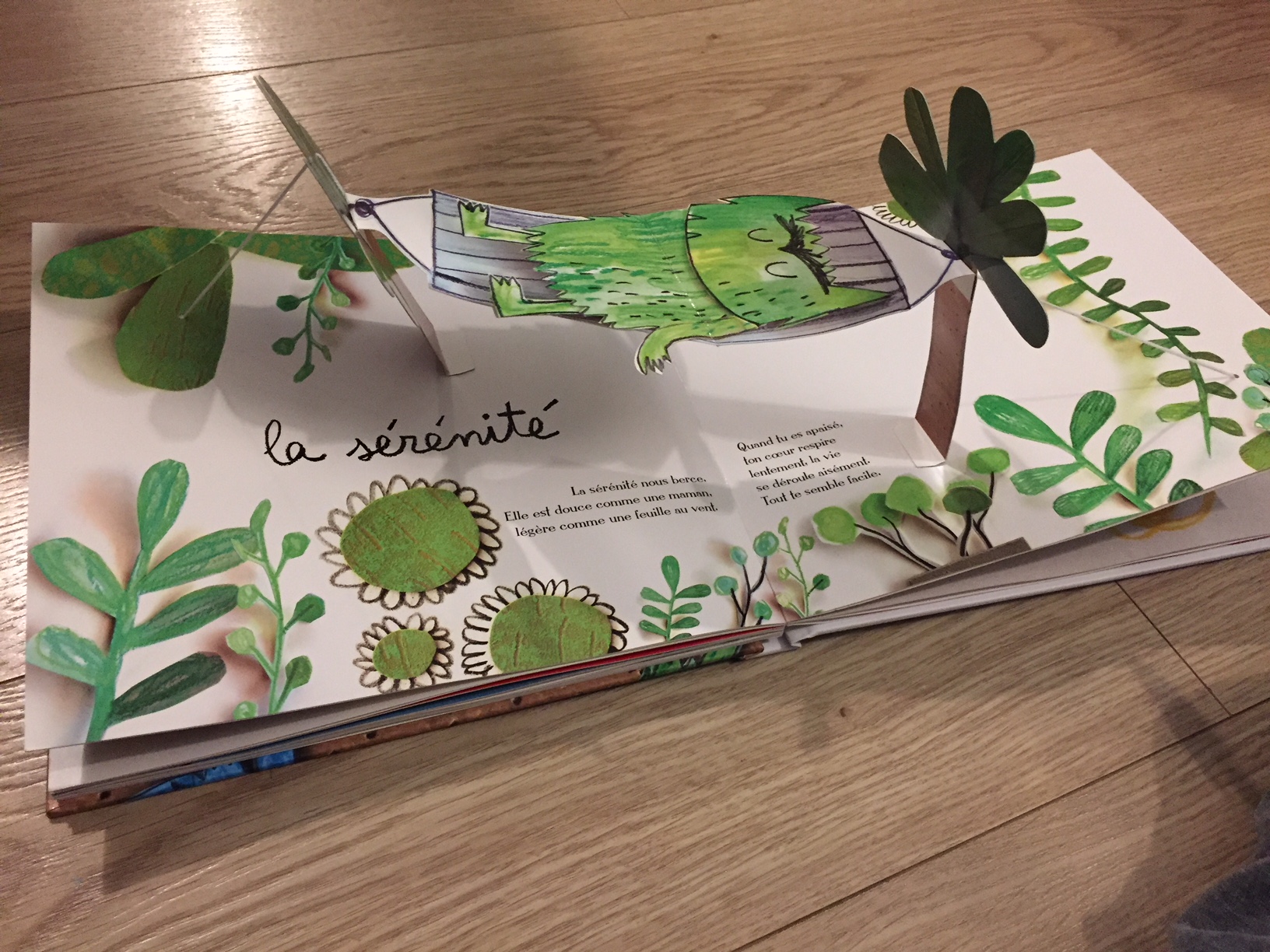 Découvrez le magnifique livre "La Couleur des Émotions"